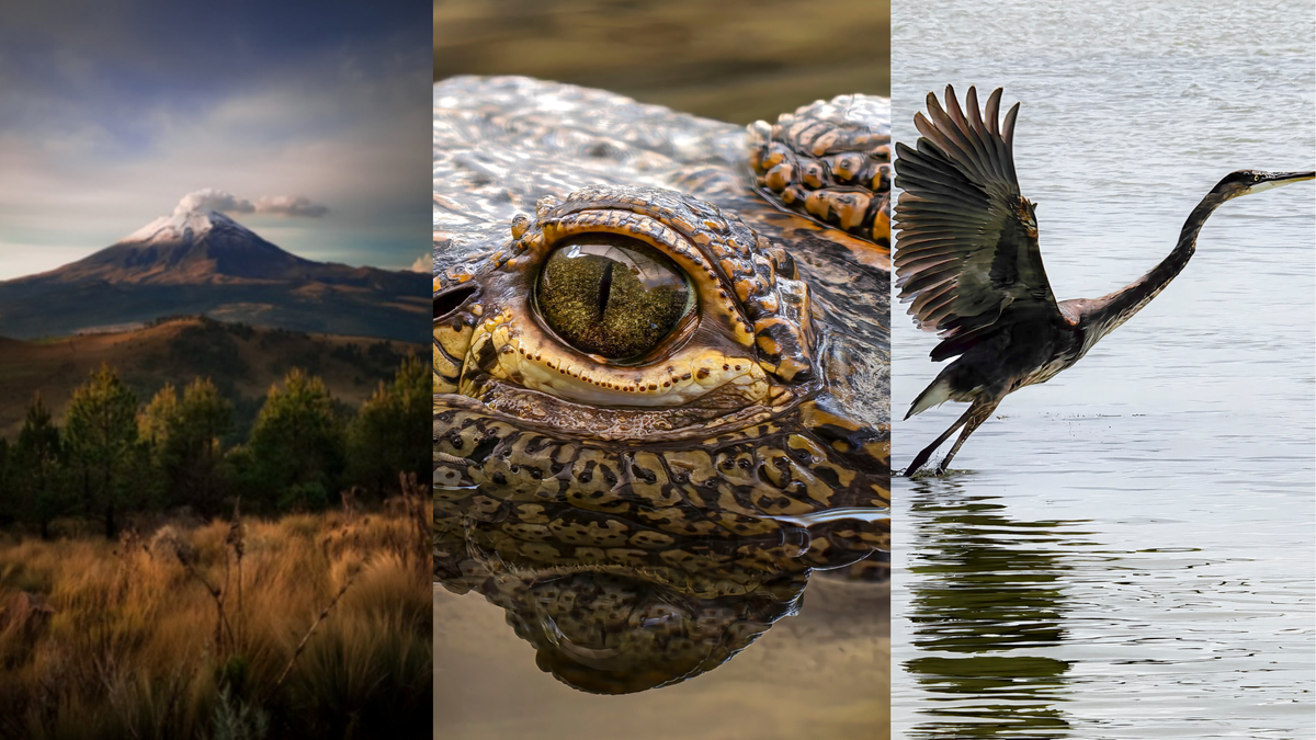 Comparación: Así se ve la fotografía del HUAWEI Pura 80 ultra contra ...